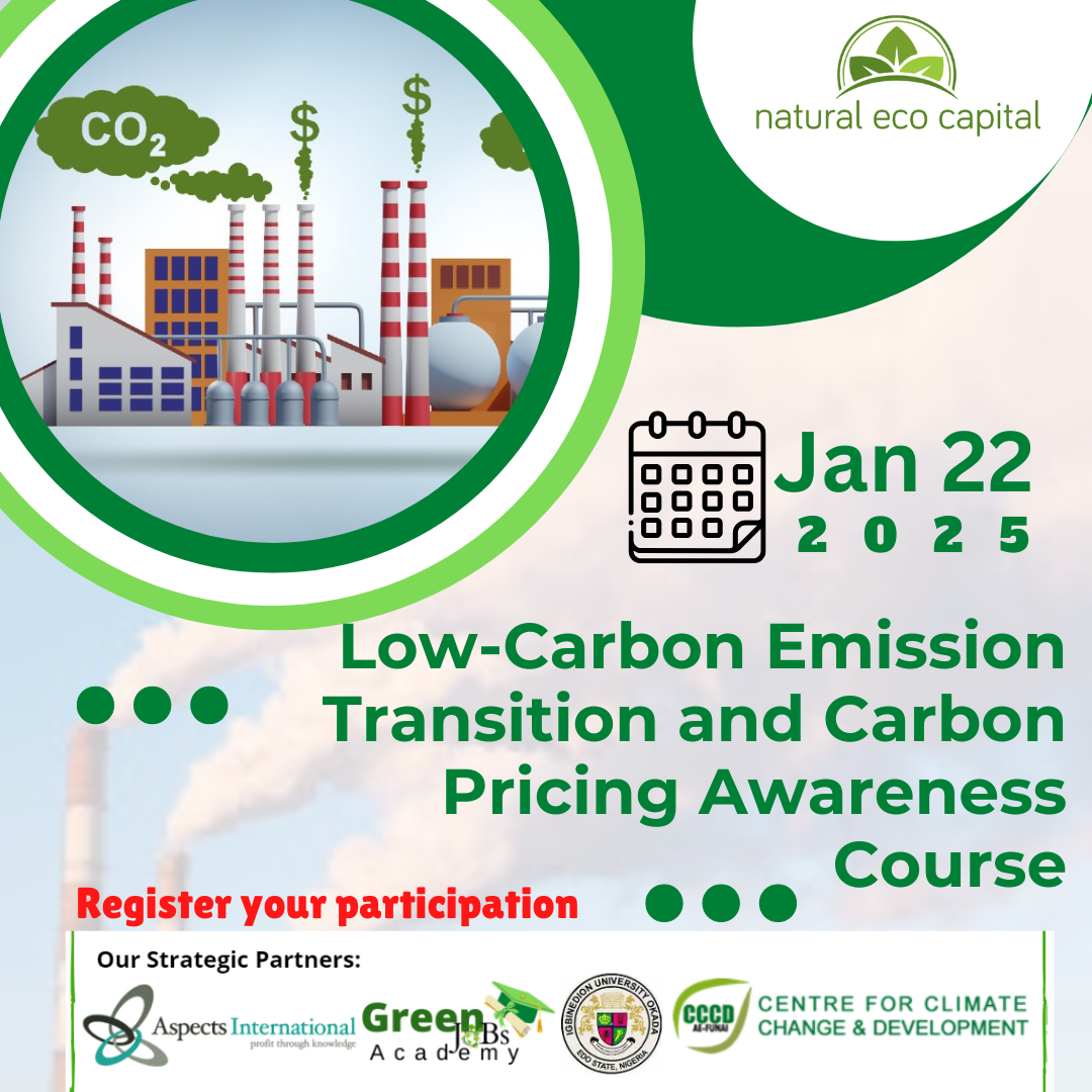 Low-Carbon Emission Transition and Carbon Pricing Awareness Course ...